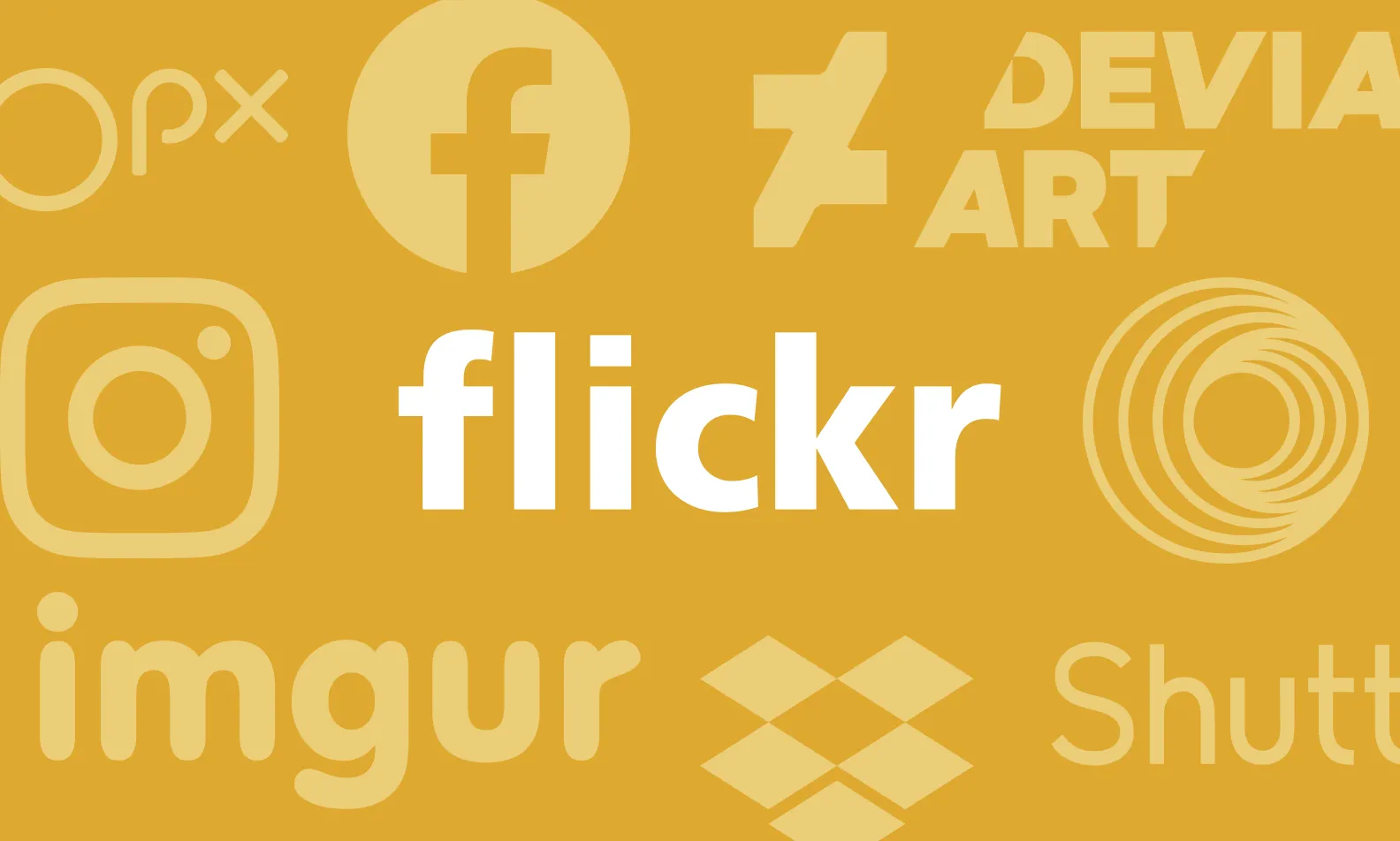 Flickr Alternatives for Your Digital Photography